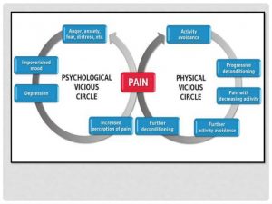 Understanding Pain - Advantage Rehab and Physical Therapy